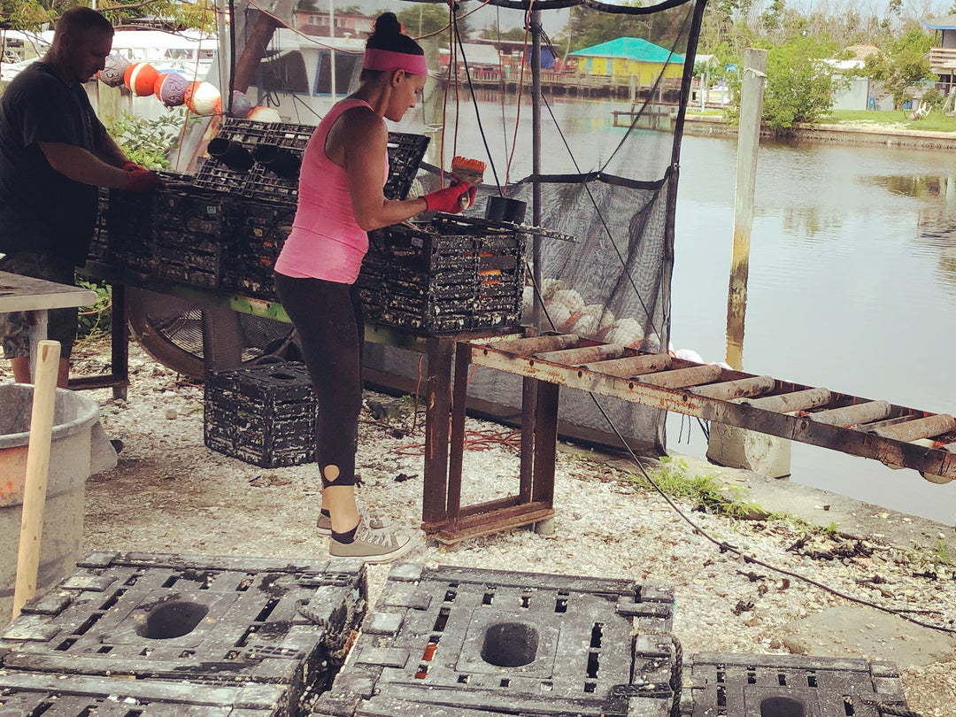 FLSCA | Florida Commercial Stone Crab Industry, Florida Stone Crabbers – Florida Stone Crabbers ...